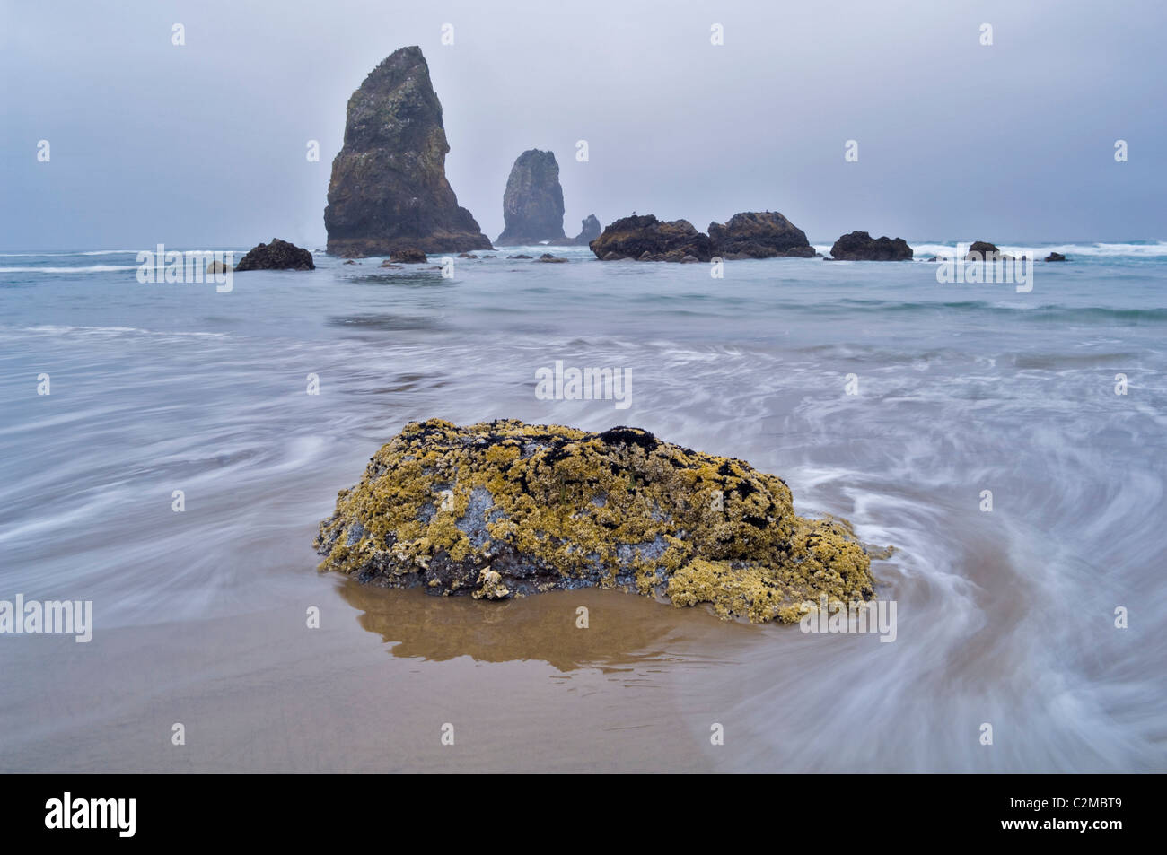 Low Tide And Needles, Oregon's Coast, Usa Stock Photo - Alamy