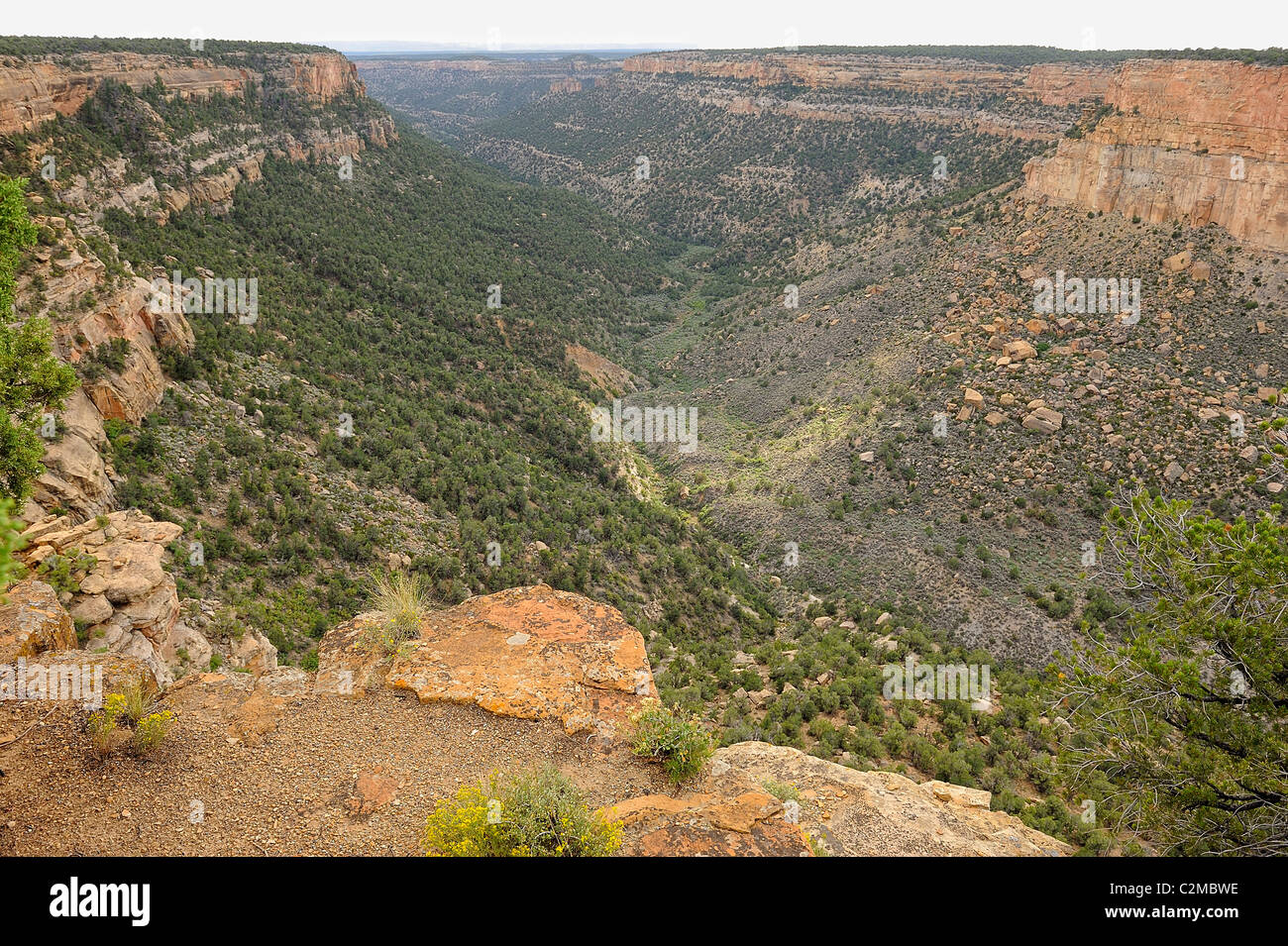 Verde canyon hi-res stock photography and images - Alamy