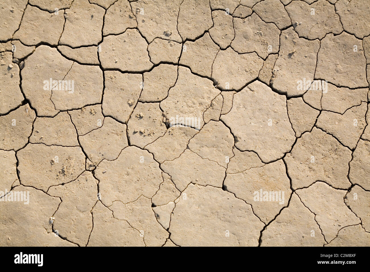 dry mud field for background Stock Photo - Alamy