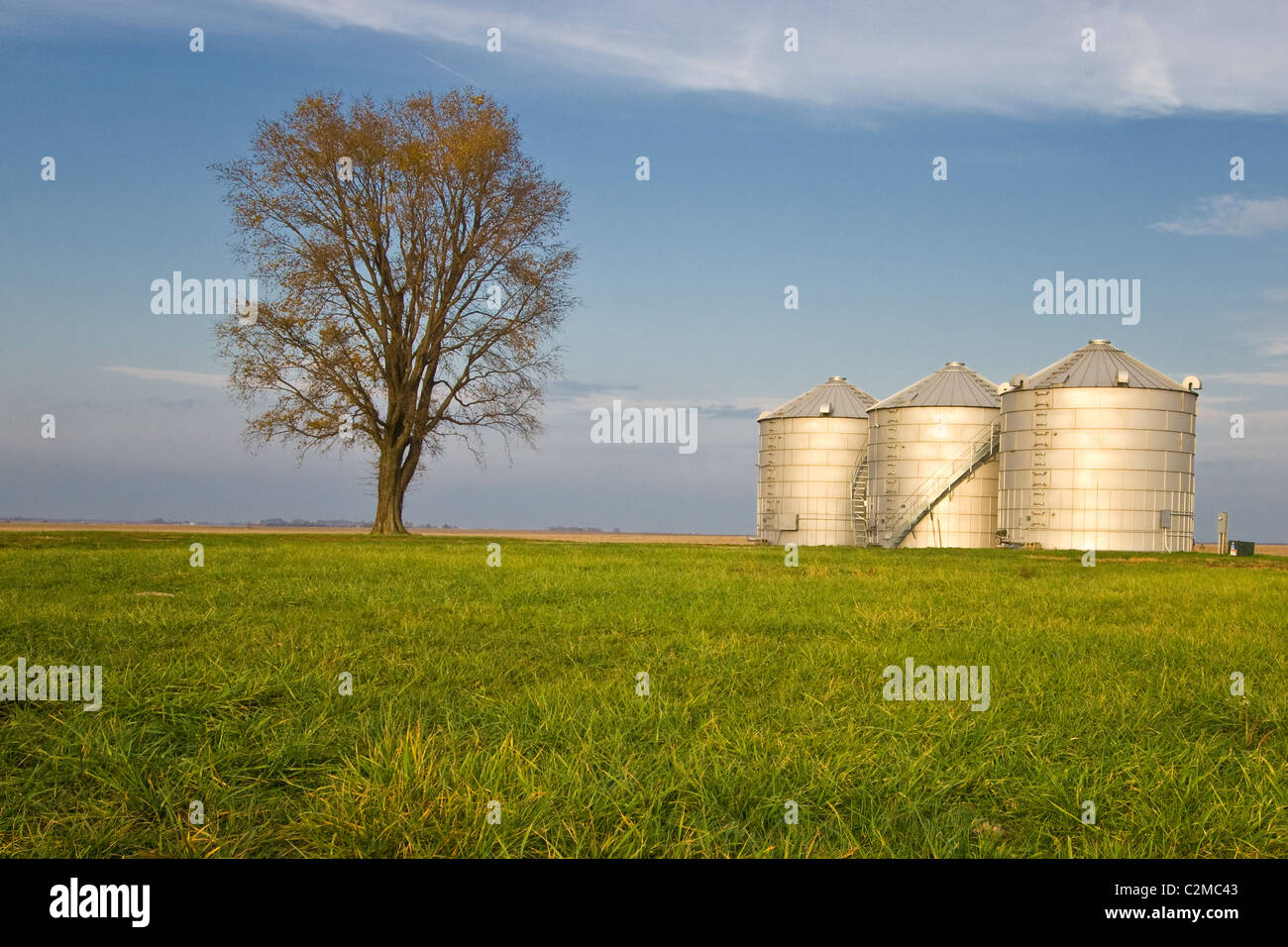 Grain storage bins in Illinois farm field Stock Photo - Alamy