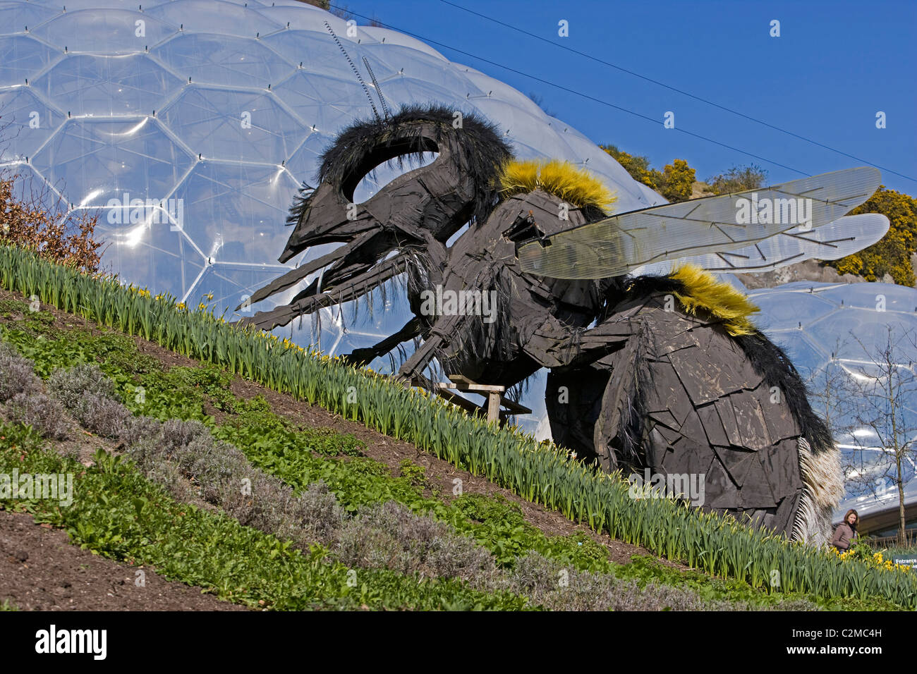 The Eden Project, Bodelva, Cornwall Stock Photo - Alamy