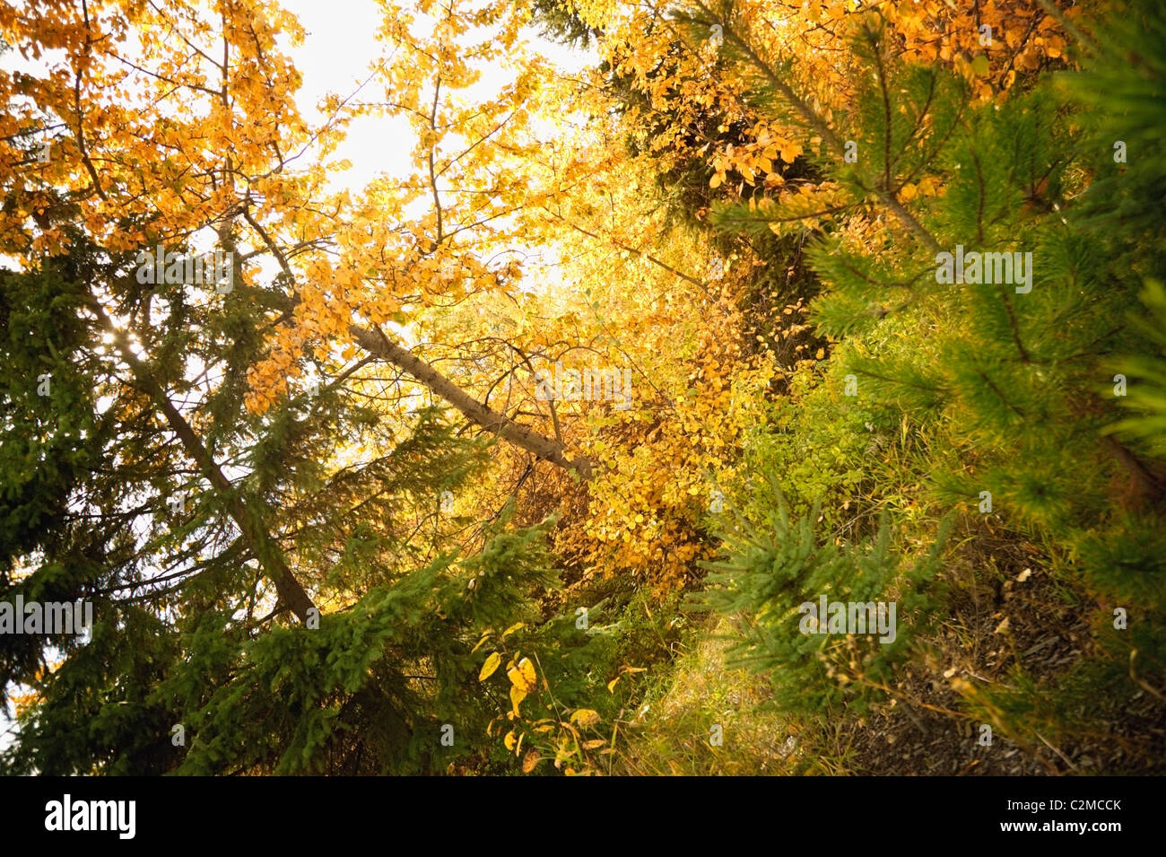 Horizontal oblique view hi-res stock photography and images - Alamy