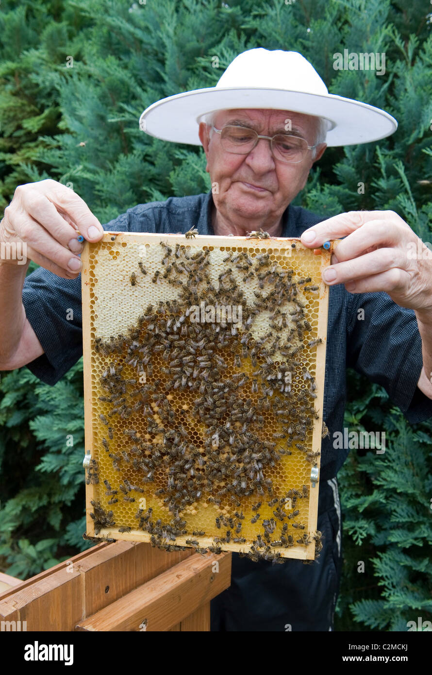 Wax western man hi-res stock photography and images - Alamy