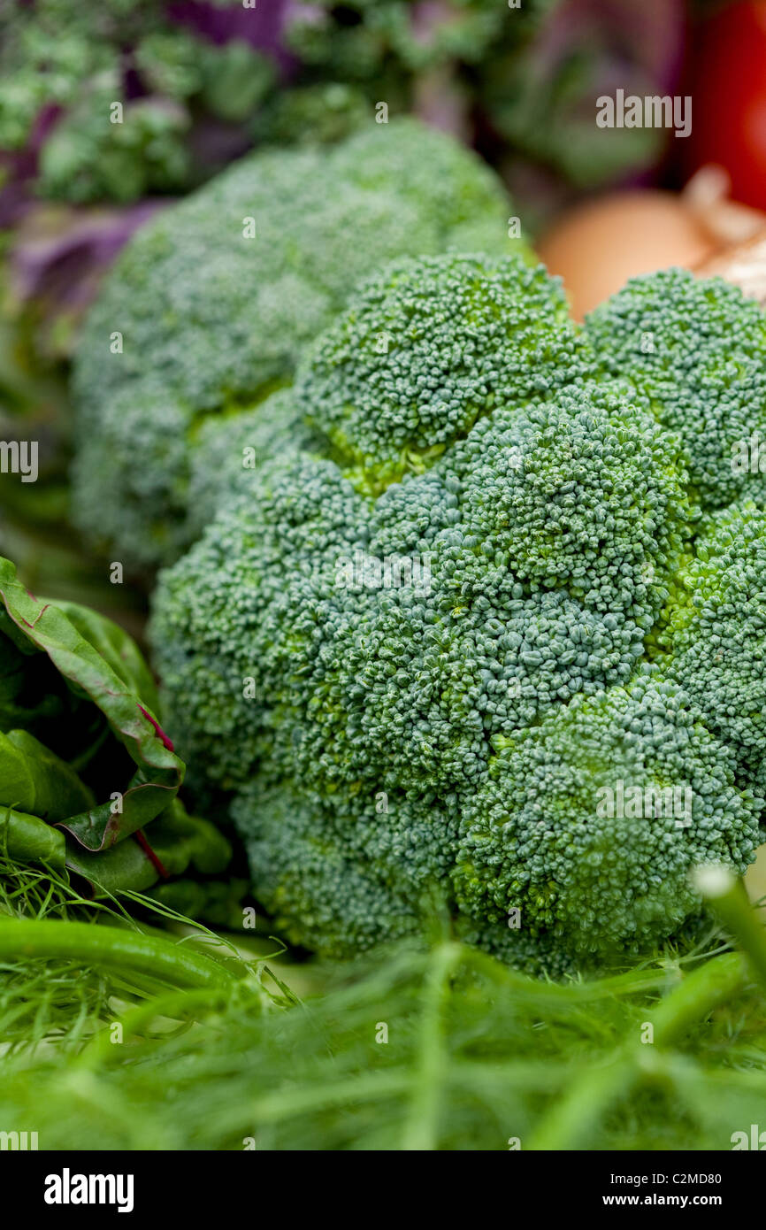 Vegetable, healthy, Food, Vegetarian, Broccoli Stock Photo - Alamy