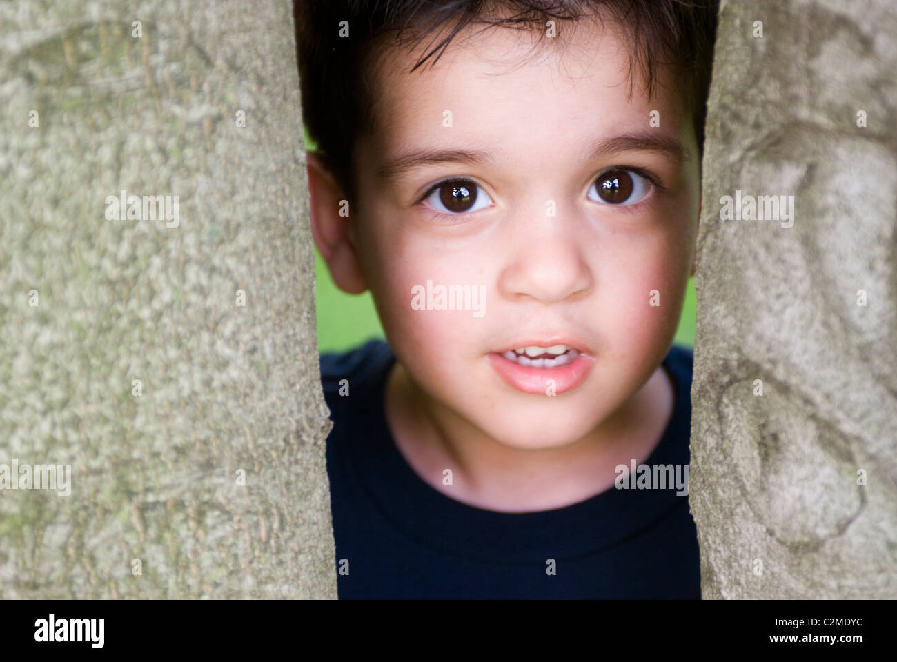 Boy Peeking Between Trees Stock Photo - Alamy