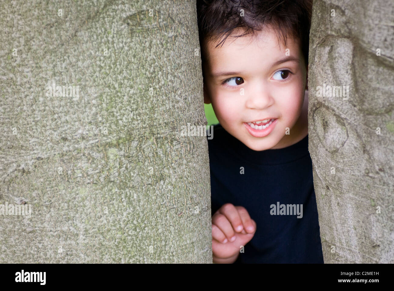 Peeking; Boy Peeking Between Trees Stock Photo - Alamy