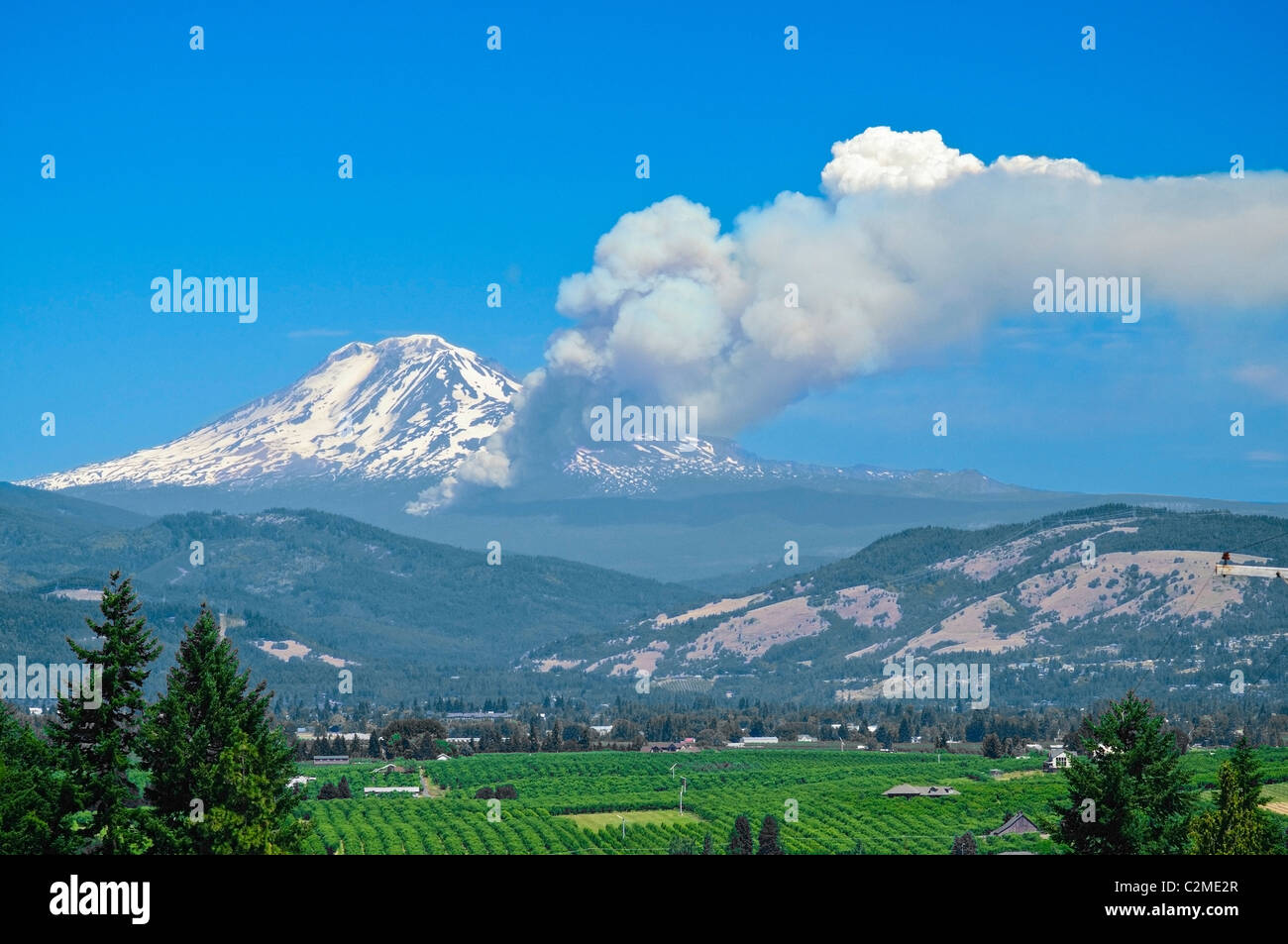 Fire On Side Of Mountain, Mt. Adams, Oregon, Usa Stock Photo - Alamy