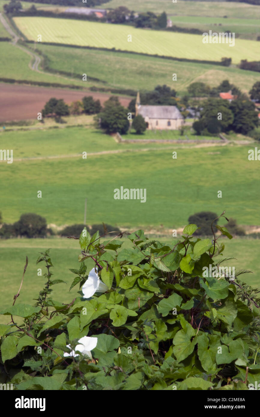 North Yorkshire, England; Countryside Stock Photo - Alamy