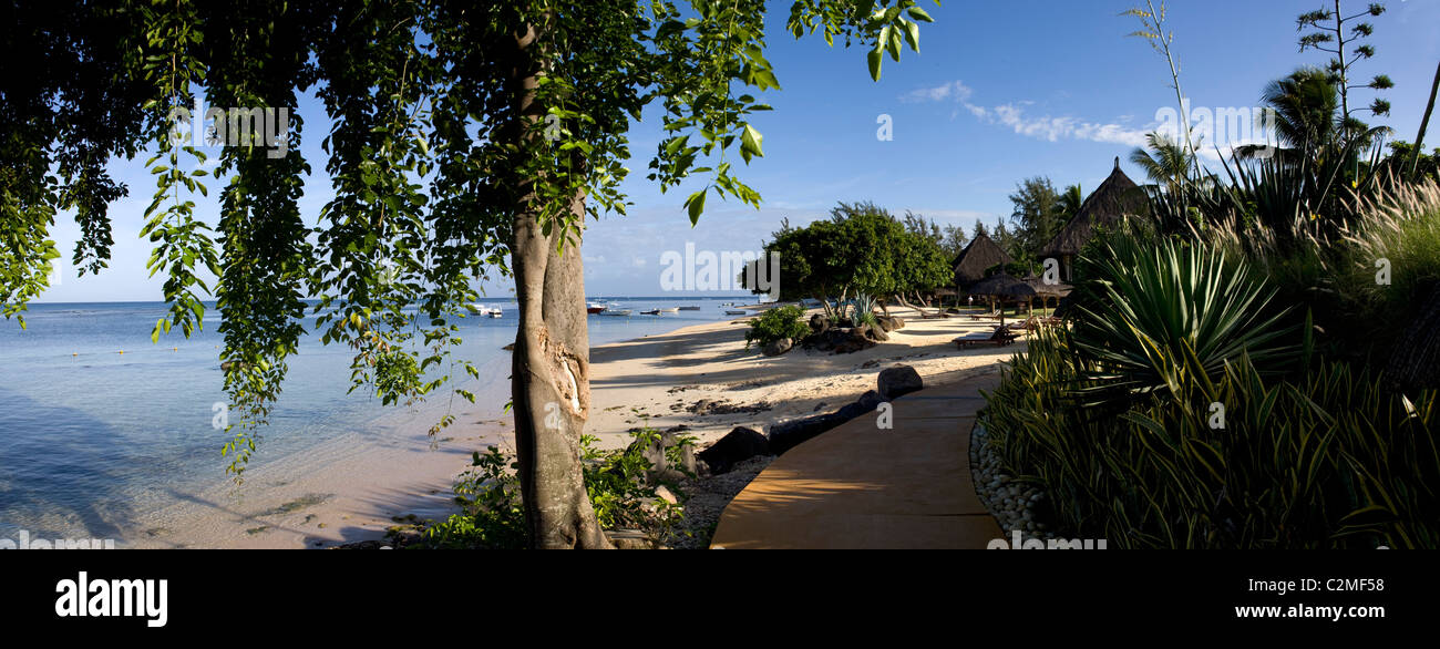 Sub Tropical High Resolution Stock Photography and Images - Alamy