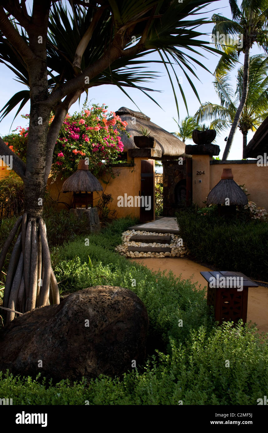 Sub Tropical Gardens High Resolution Stock Photography and Images - Alamy