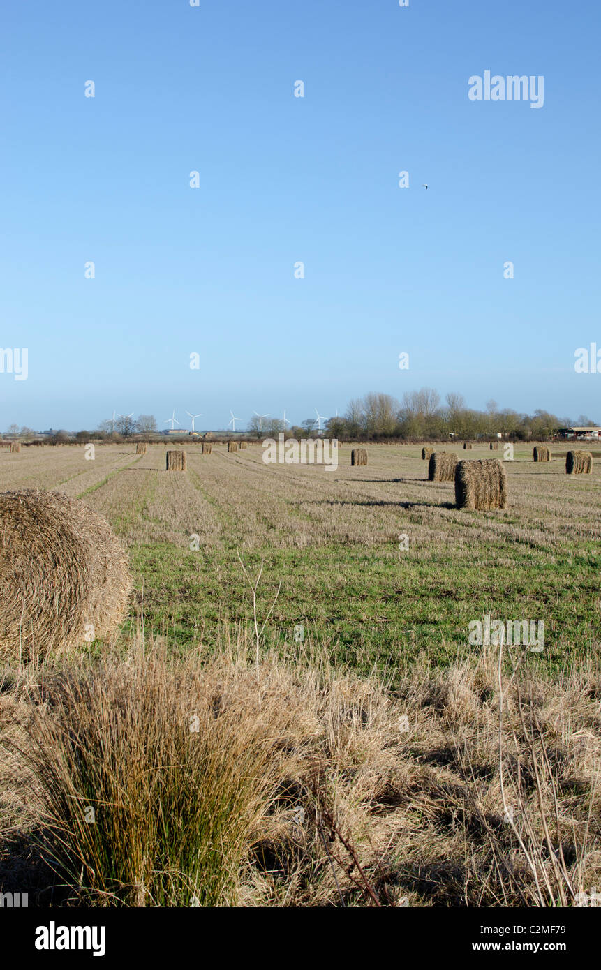 Nafferton hi-res stock photography and images - Alamy