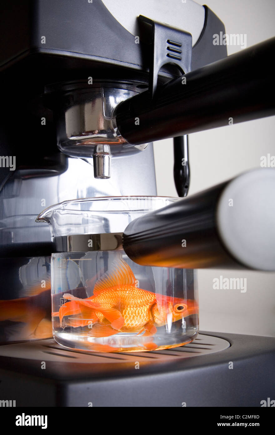 Cappuccino and/or espresso machine with fish in the pot Stock Photo - Alamy