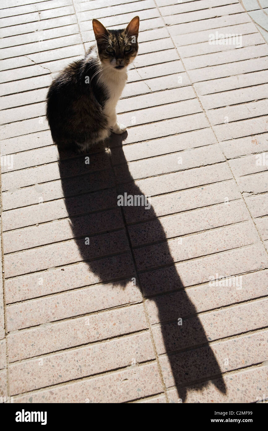 Portraits in shadow hi-res stock photography and images - Alamy