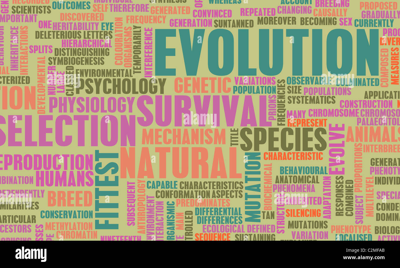 Evolution evolutionary theory hi-res stock photography and images - Alamy