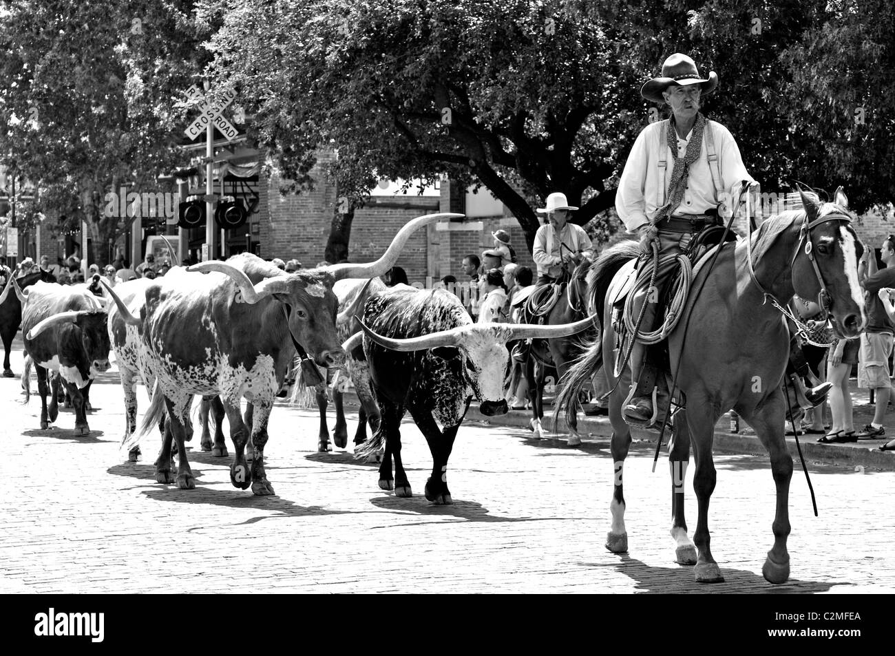 Fort Worth Stockyards Black and White Stock Photos & Images - Alamy
