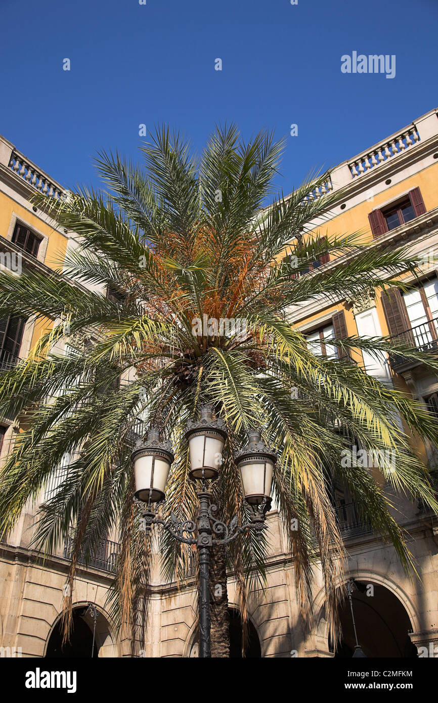 Placa Reial, Barcelona, Spain Stock Photo - Alamy