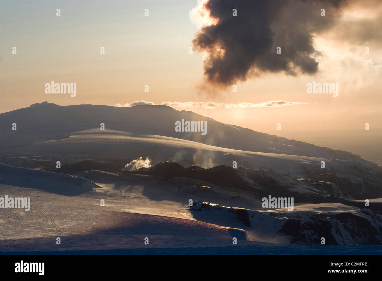 Icelandic ash hi-res stock photography and images - Alamy