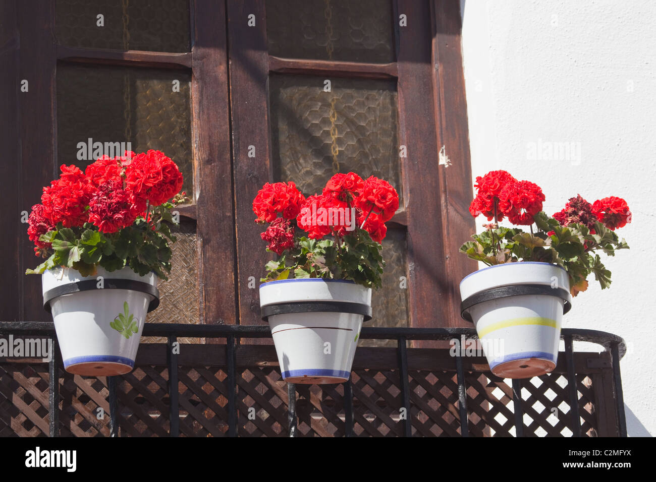 Three Flower Pots On Balcony; Marbella, Malaga Province, Costa Del Sol ...
