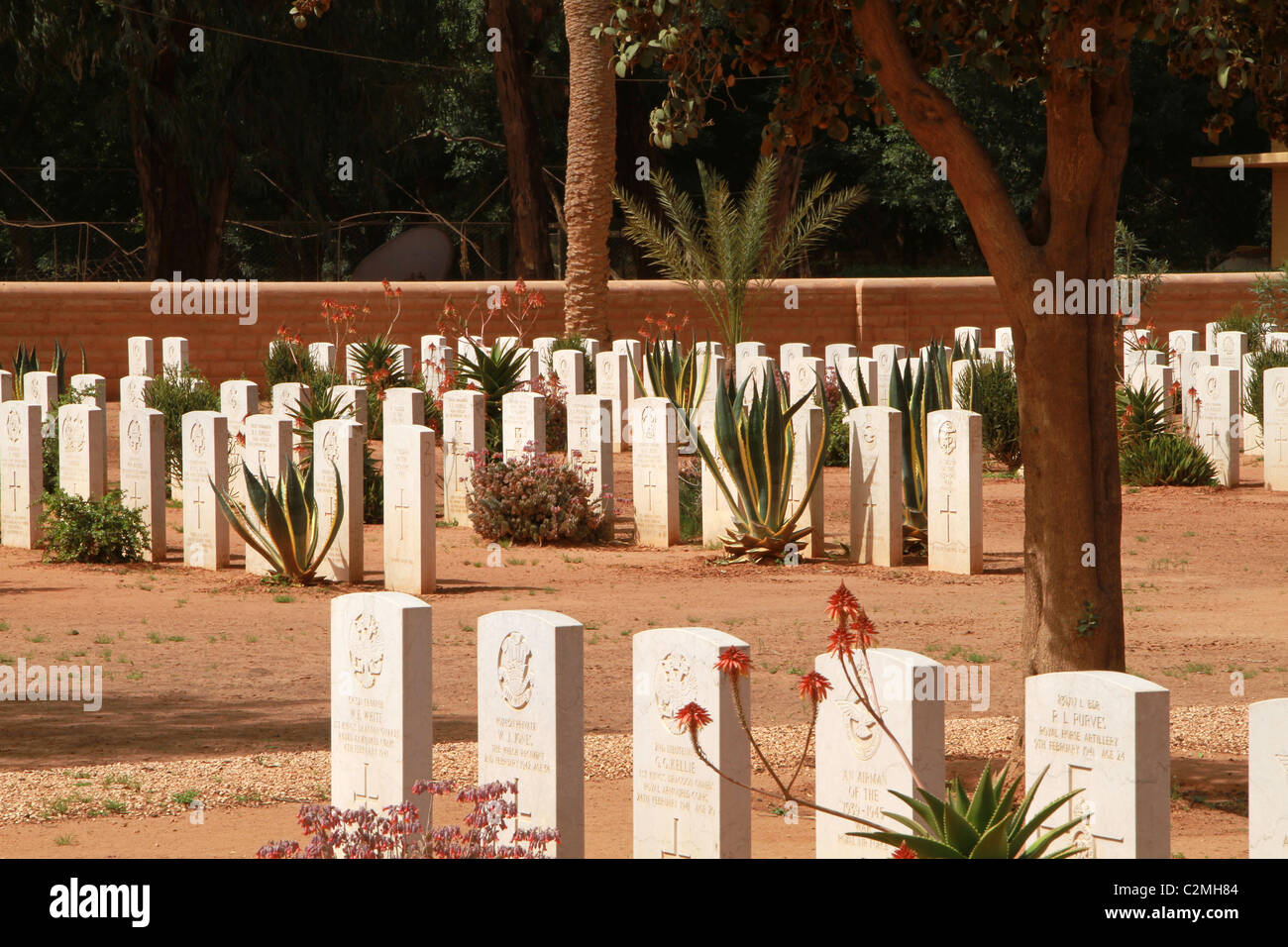 Benghazi War Cemetery, Eastern Libya Stock Photo - Alamy