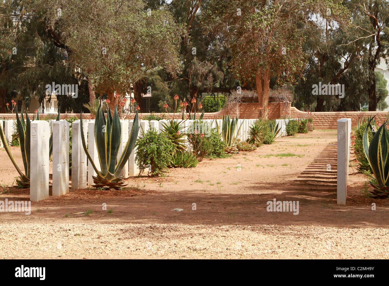 Benghazi War Cemetery High Resolution Stock Photography and Images - Alamy