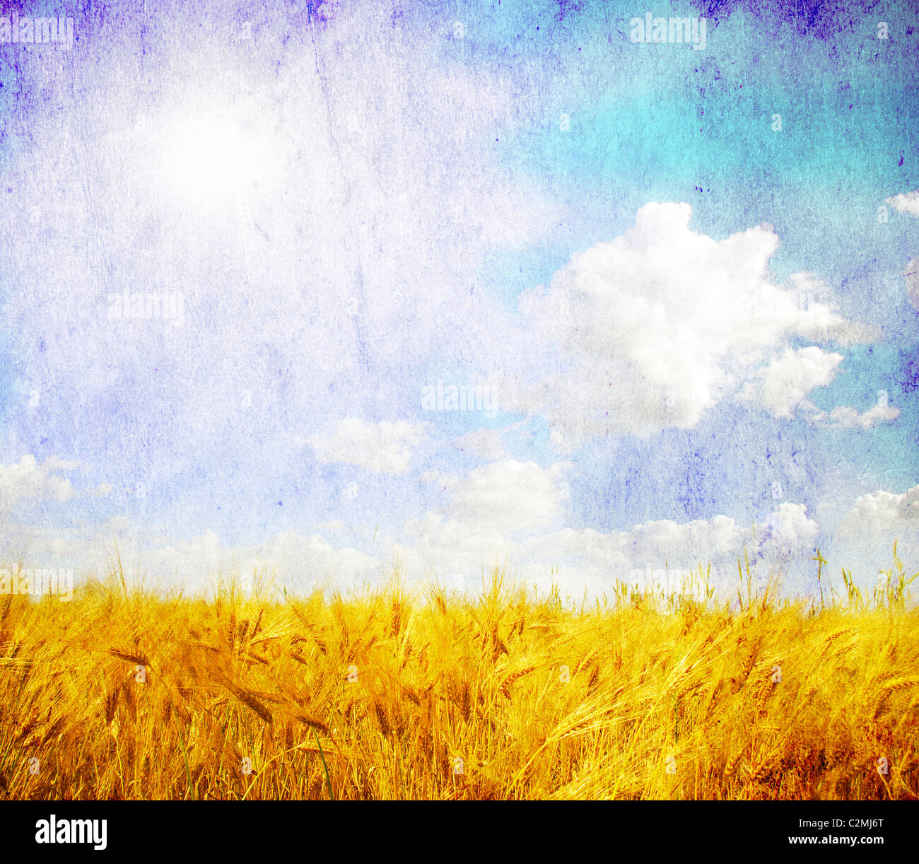 Grunge background with golden wheat in a farm field Stock Photo - Alamy