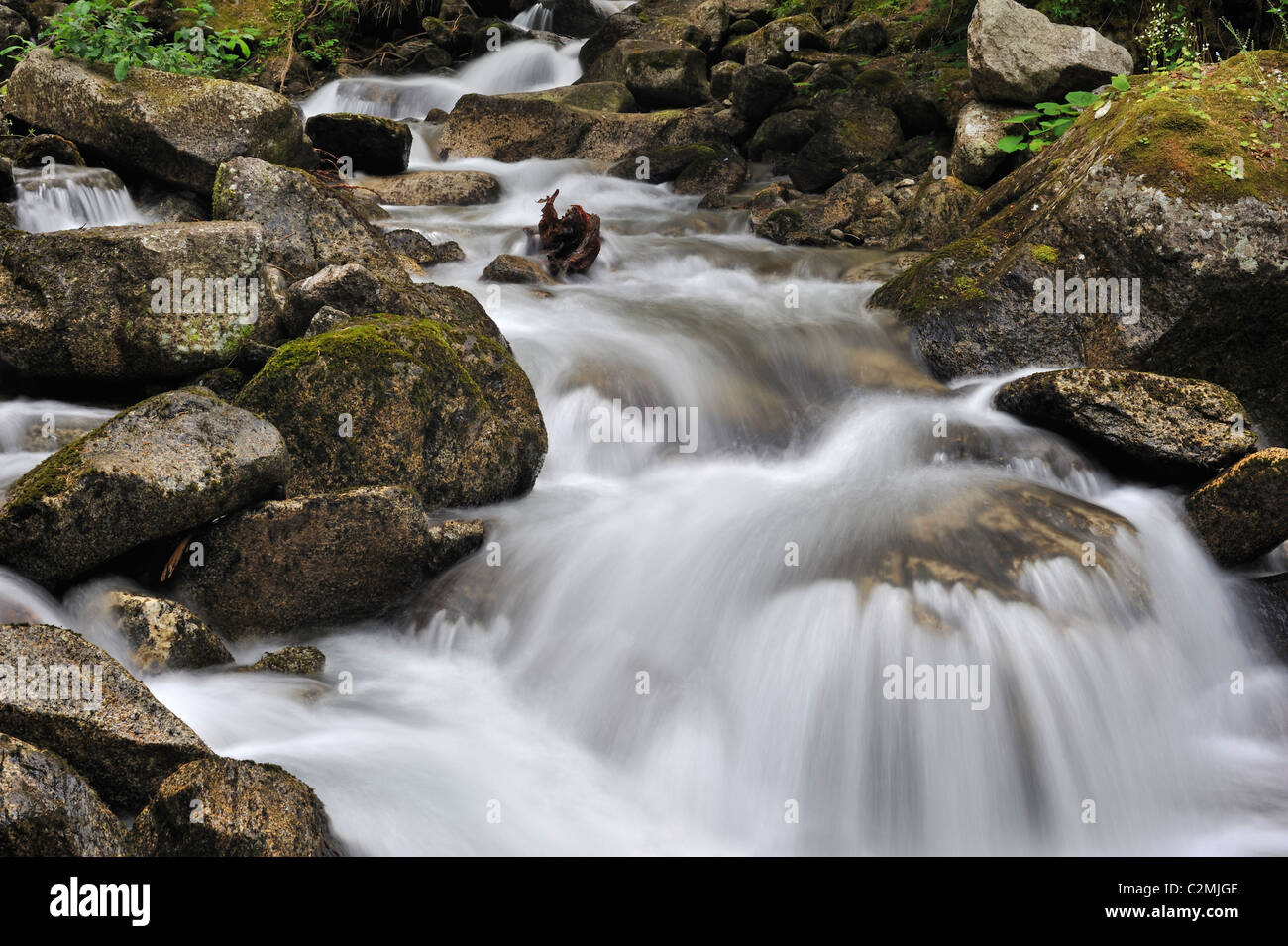 Brook and vegetation hi-res stock photography and images - Alamy