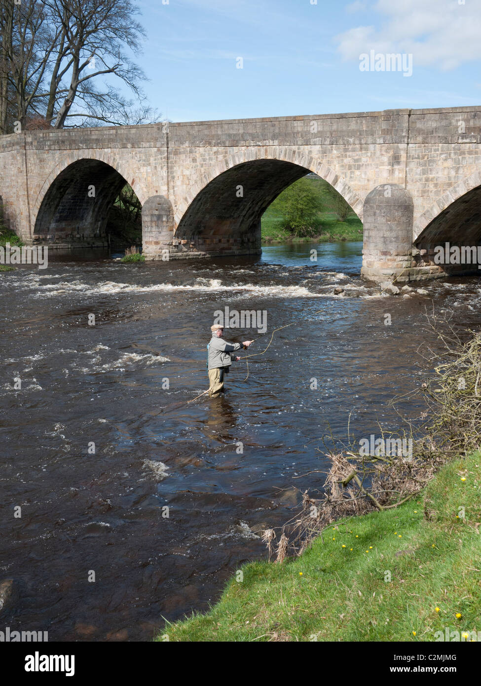 Fly Fishing on the River Ribble at Mitton Bridge, Clitheroe, Lancashire ...