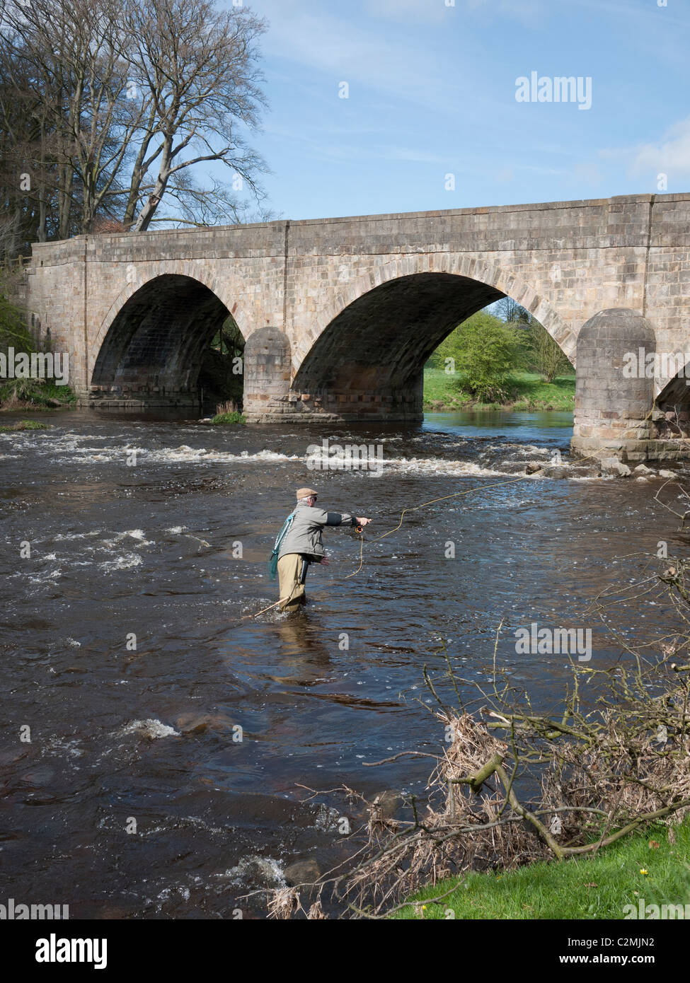 Fly Fishing on the River Ribble at Mitton Bridge, Clitheroe, Lancashire ...