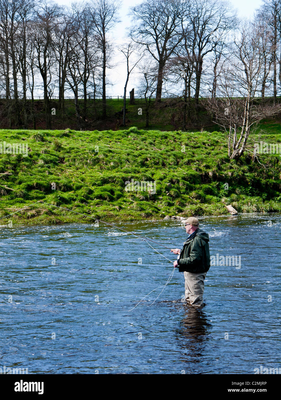 Trout Fishing on the River Ribble at Little Mitton, Clitheroe ...