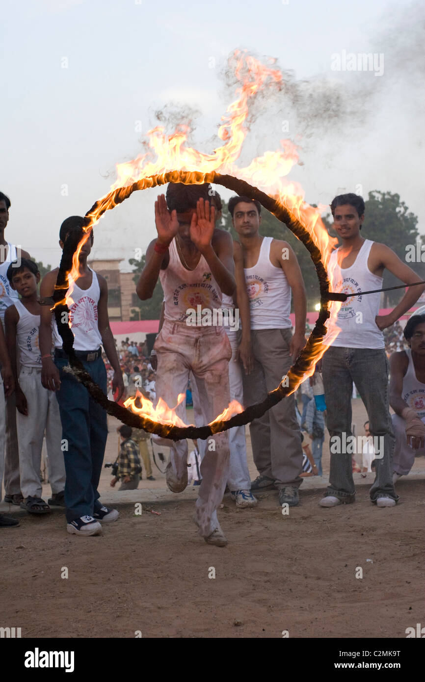 Jumping Through A Ring Of Fire Lion Jumping Through A Ring Of Fire In