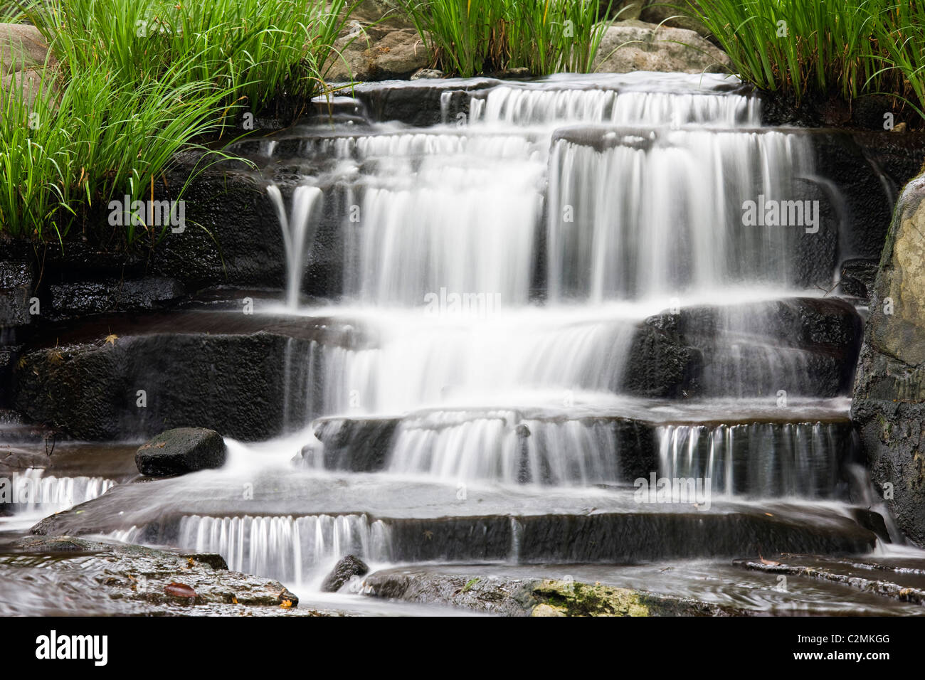 Royal gardens hi-res stock photography and images - Alamy