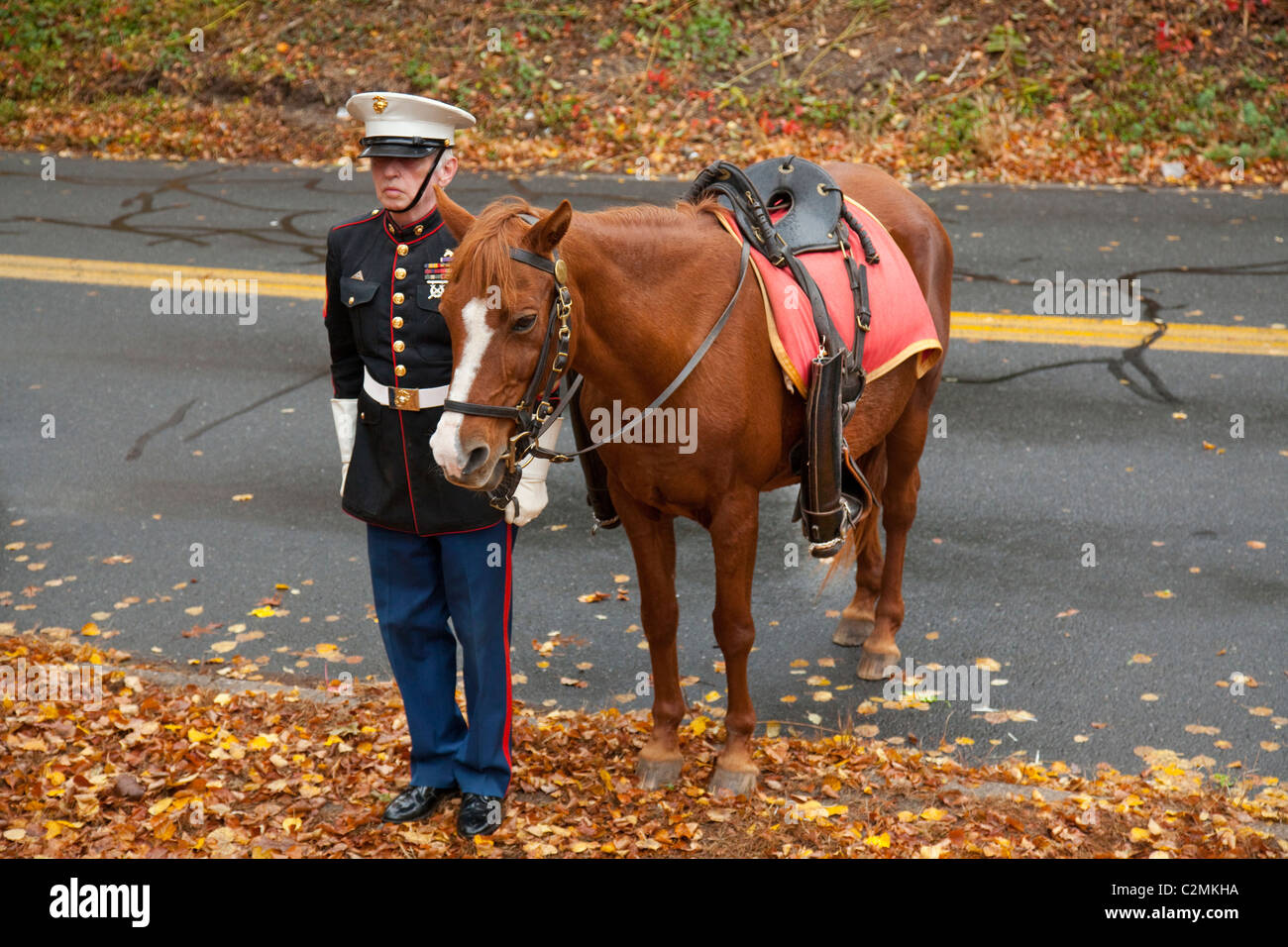 Marine Corps Military Funeral Honor Guard Stock Photo - Alamy