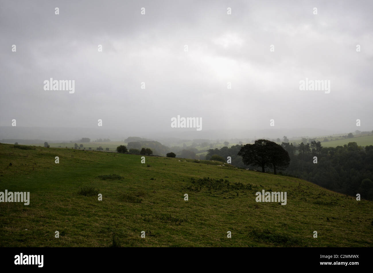 View across Lathkill Dale from Over Haddon - Peak District Stock Photo ...