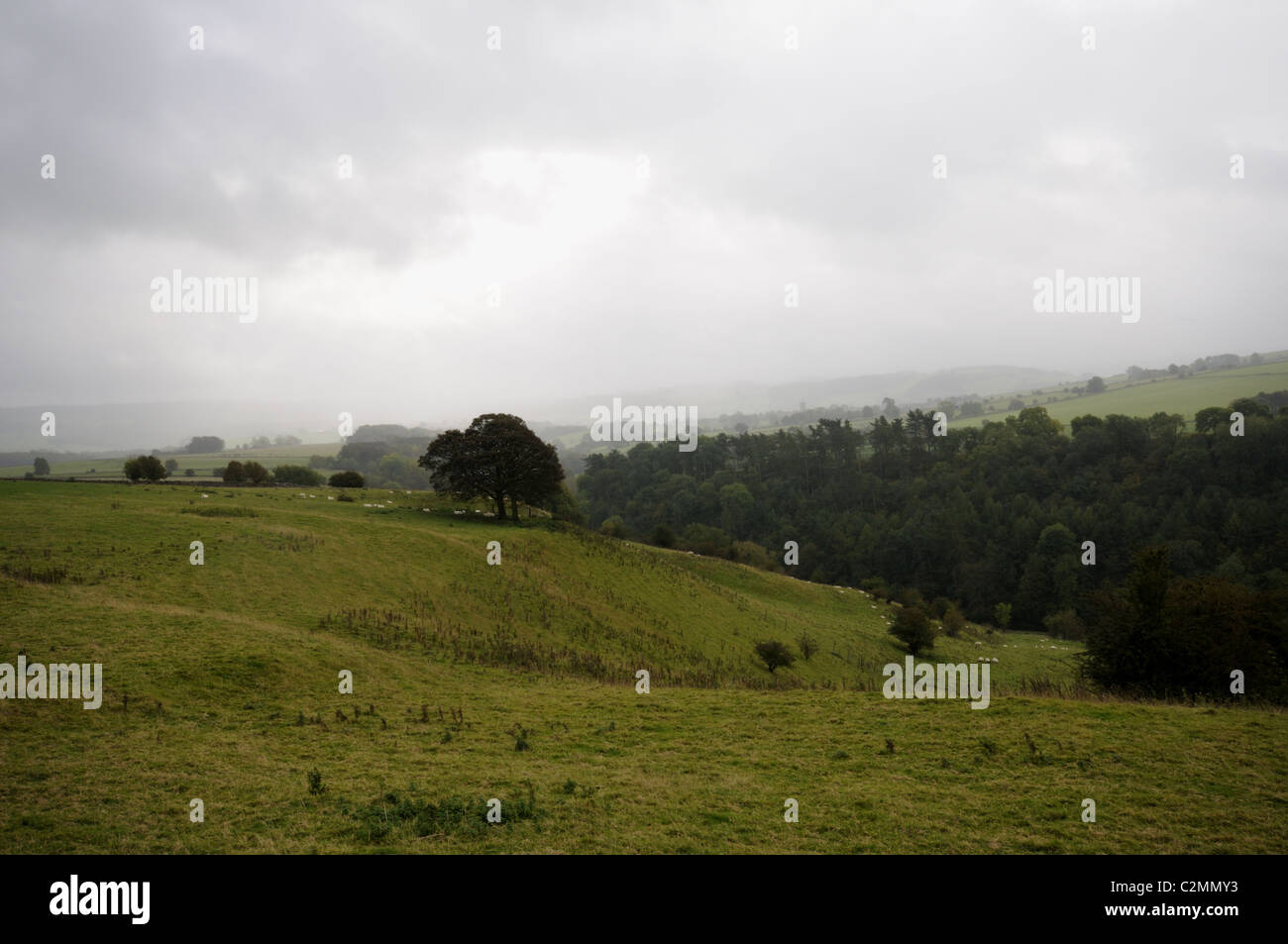 View across Lathkill Dale from Over Haddon - Peak District Stock Photo ...