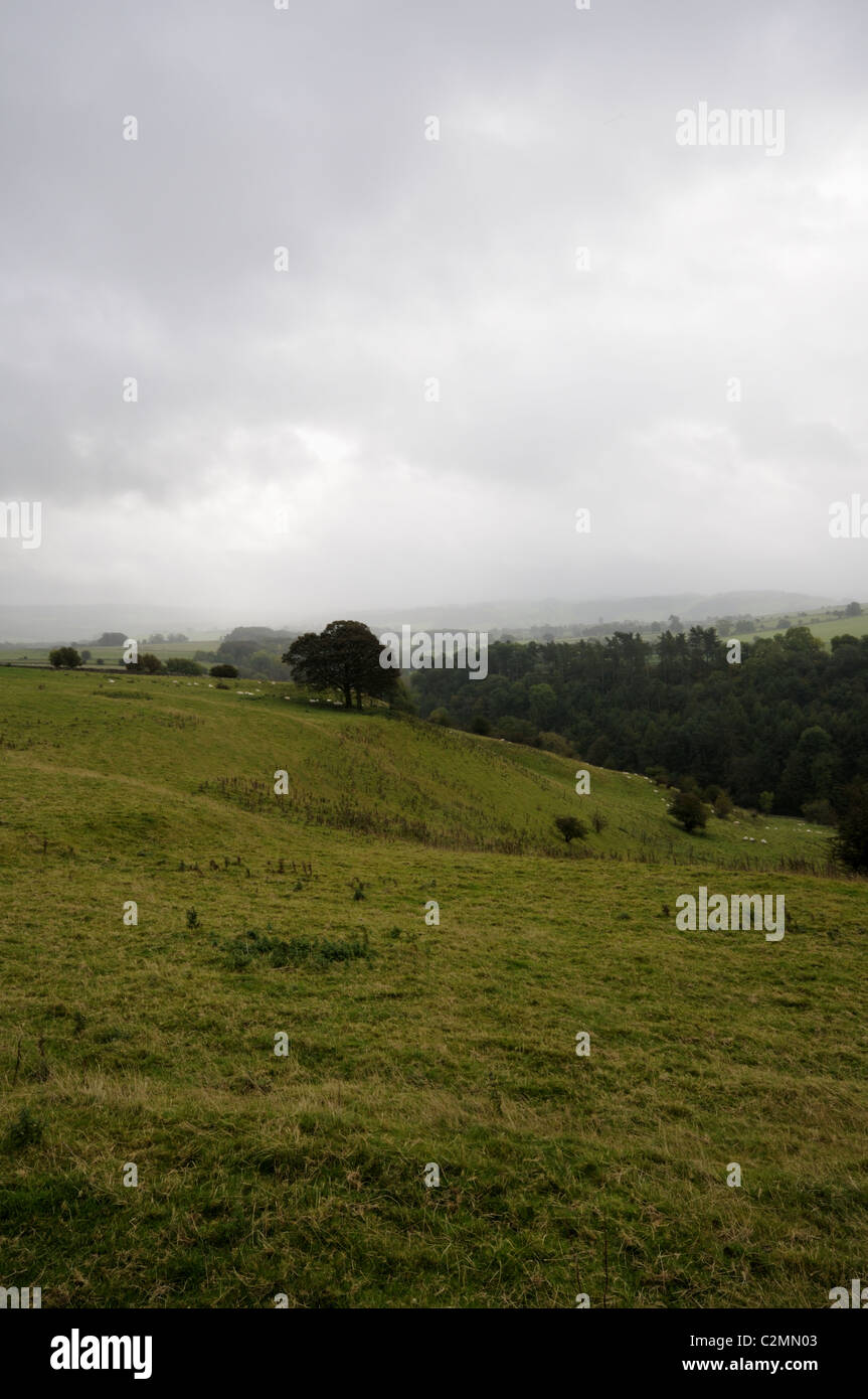 View across Lathkill Dale from Over Haddon - Peak District Stock Photo ...