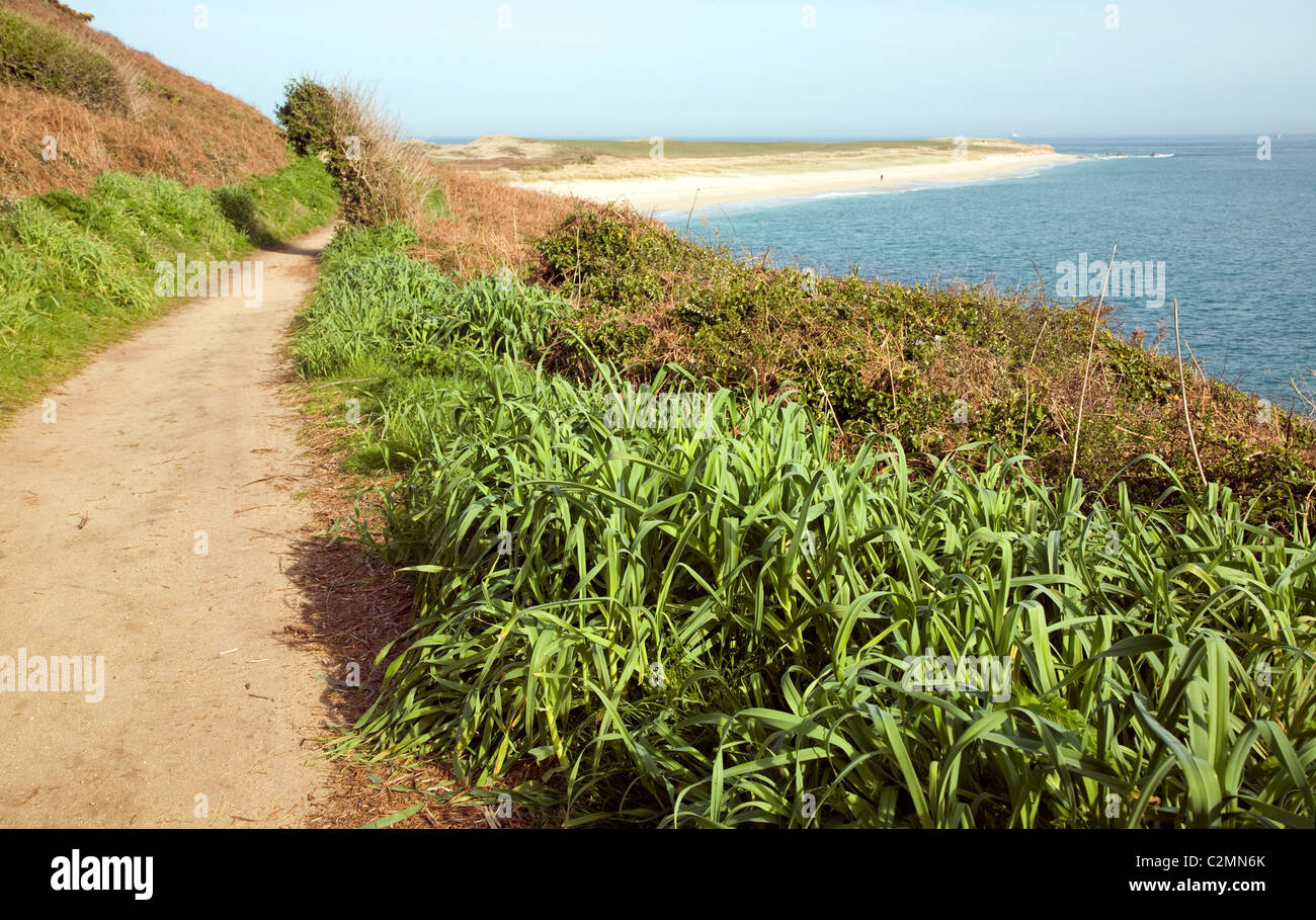 Coastal footpath Herm island Channel islands view north to Shell beach ...