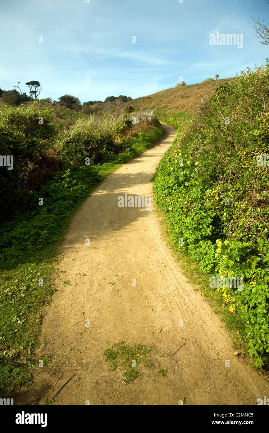 Footpath into interior Herm Island Channel Islands Stock Photo - Alamy