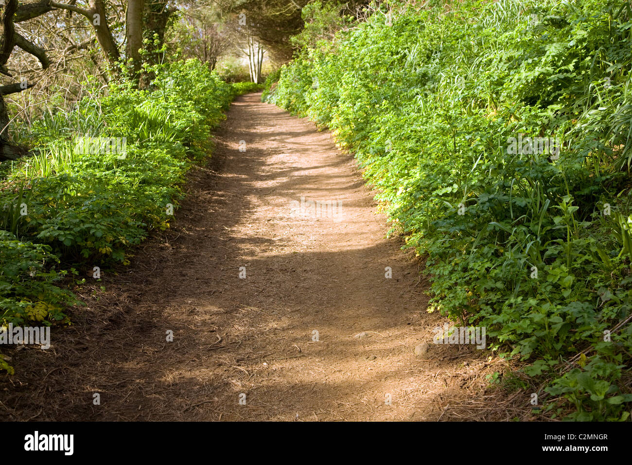 Footpath into interior Herm Island Channel Islands Stock Photo - Alamy