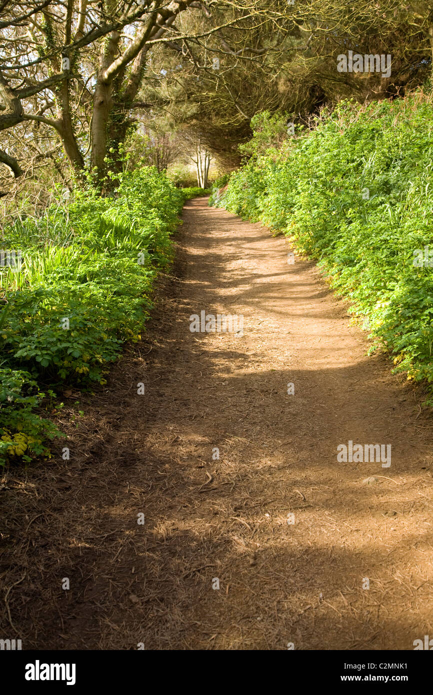 Footpath into interior Herm Island Channel Islands Stock Photo - Alamy