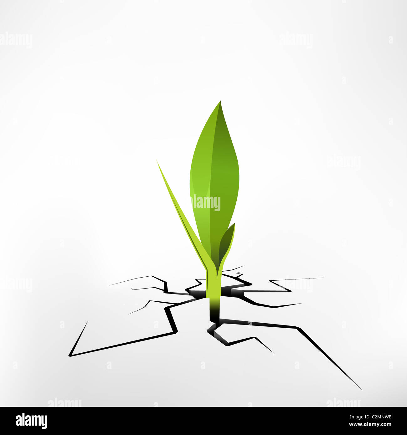 new life is born from the ground Stock Photo - Alamy