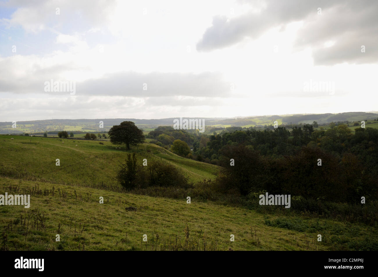 View across Lathkill Dale from Over Haddon - Peak District Stock Photo ...