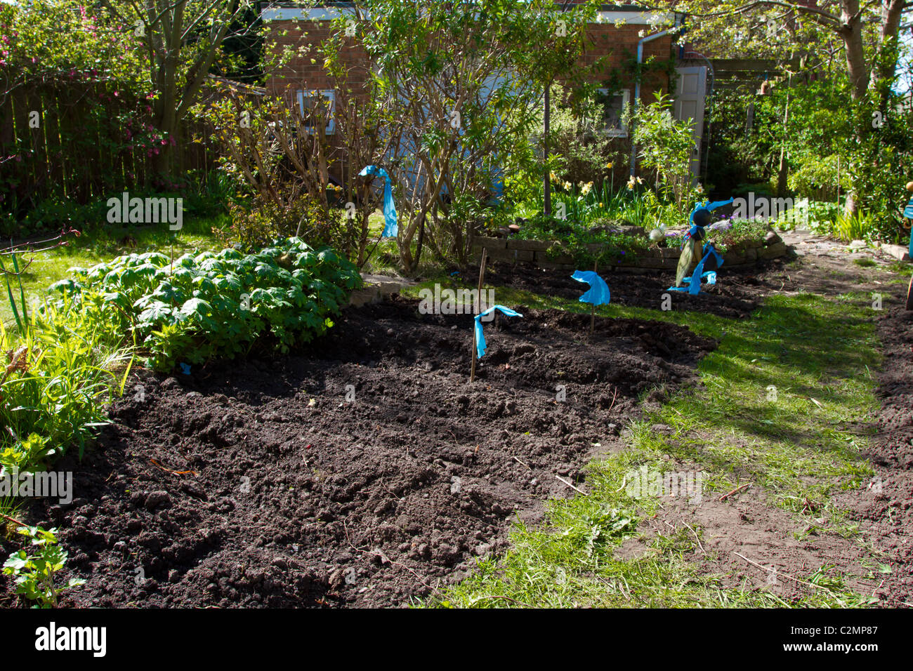 English vegetable garden hi-res stock photography and images - Alamy