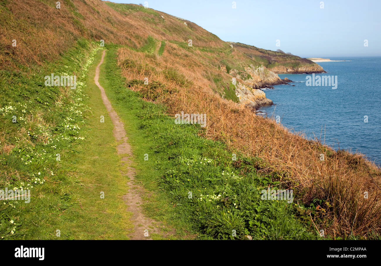 North and south islands hi-res stock photography and images - Alamy