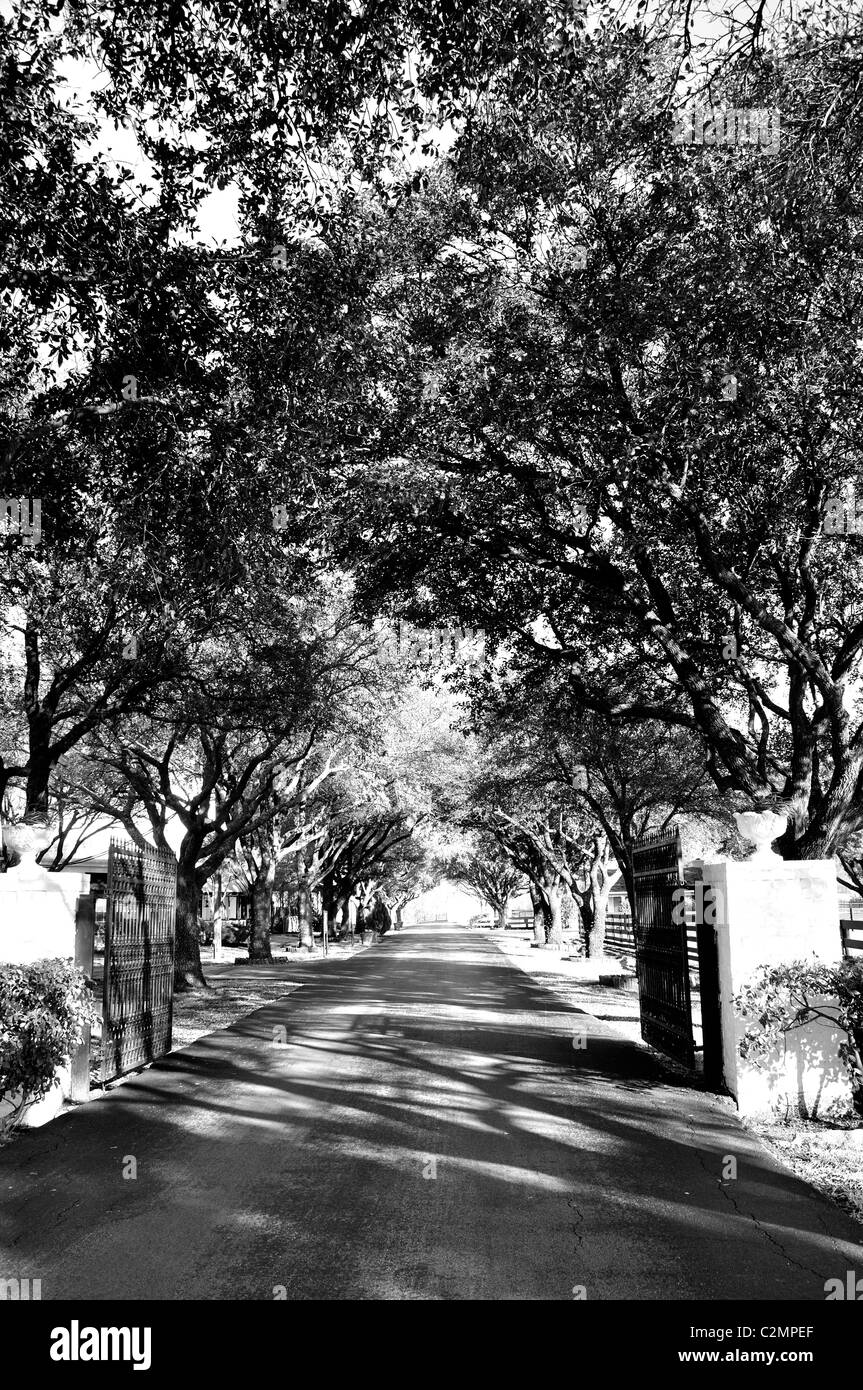 Southfork ranch texas usa hi-res stock photography and images - Alamy