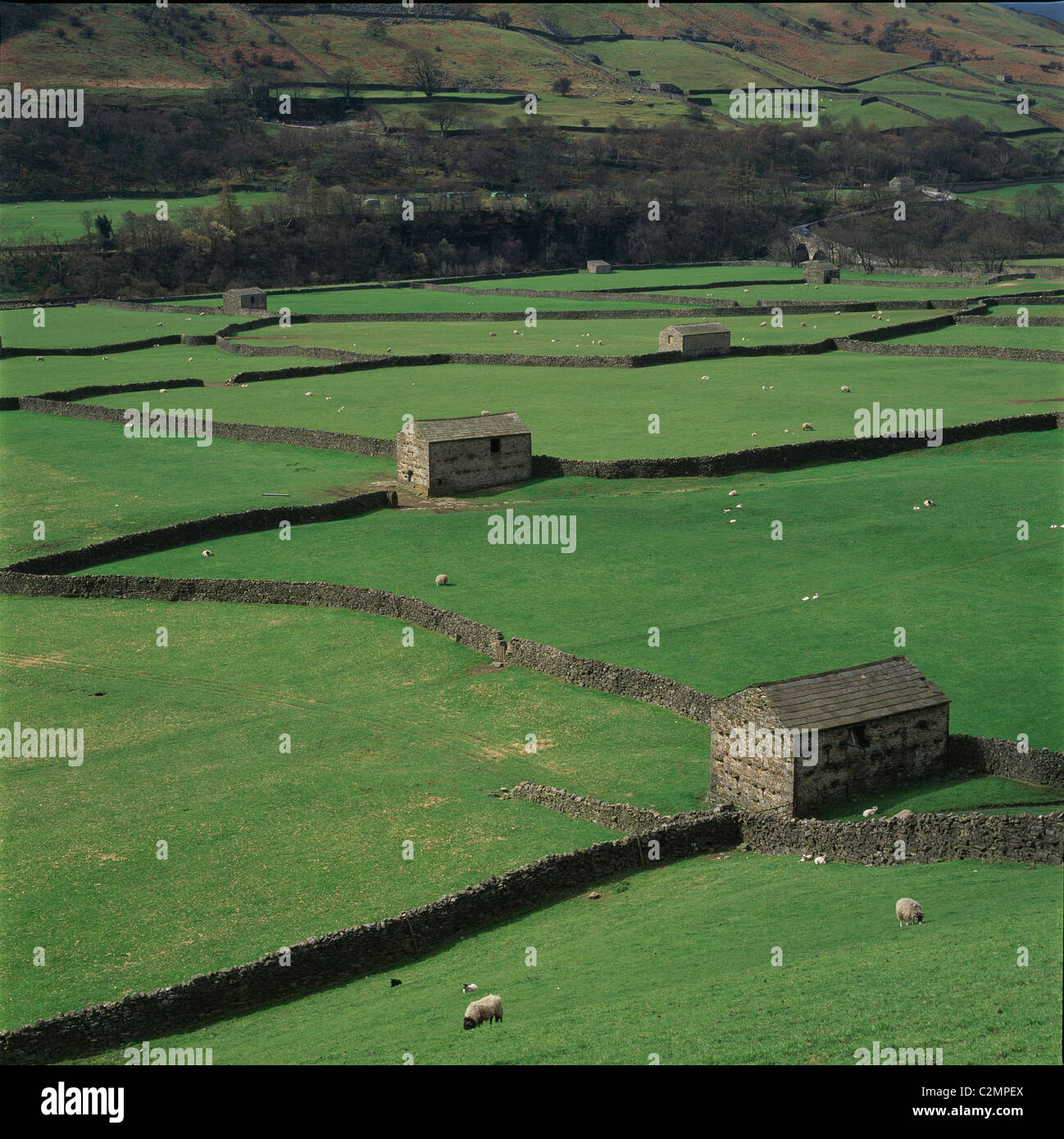 Sheepfolds hi-res stock photography and images - Alamy