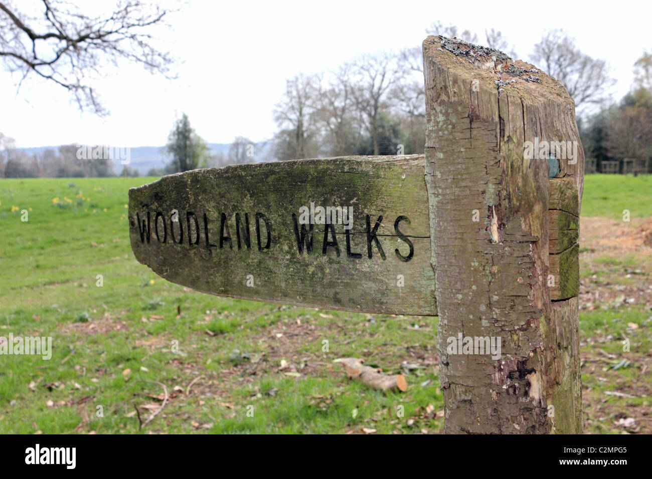Sussex walks hi-res stock photography and images - Alamy