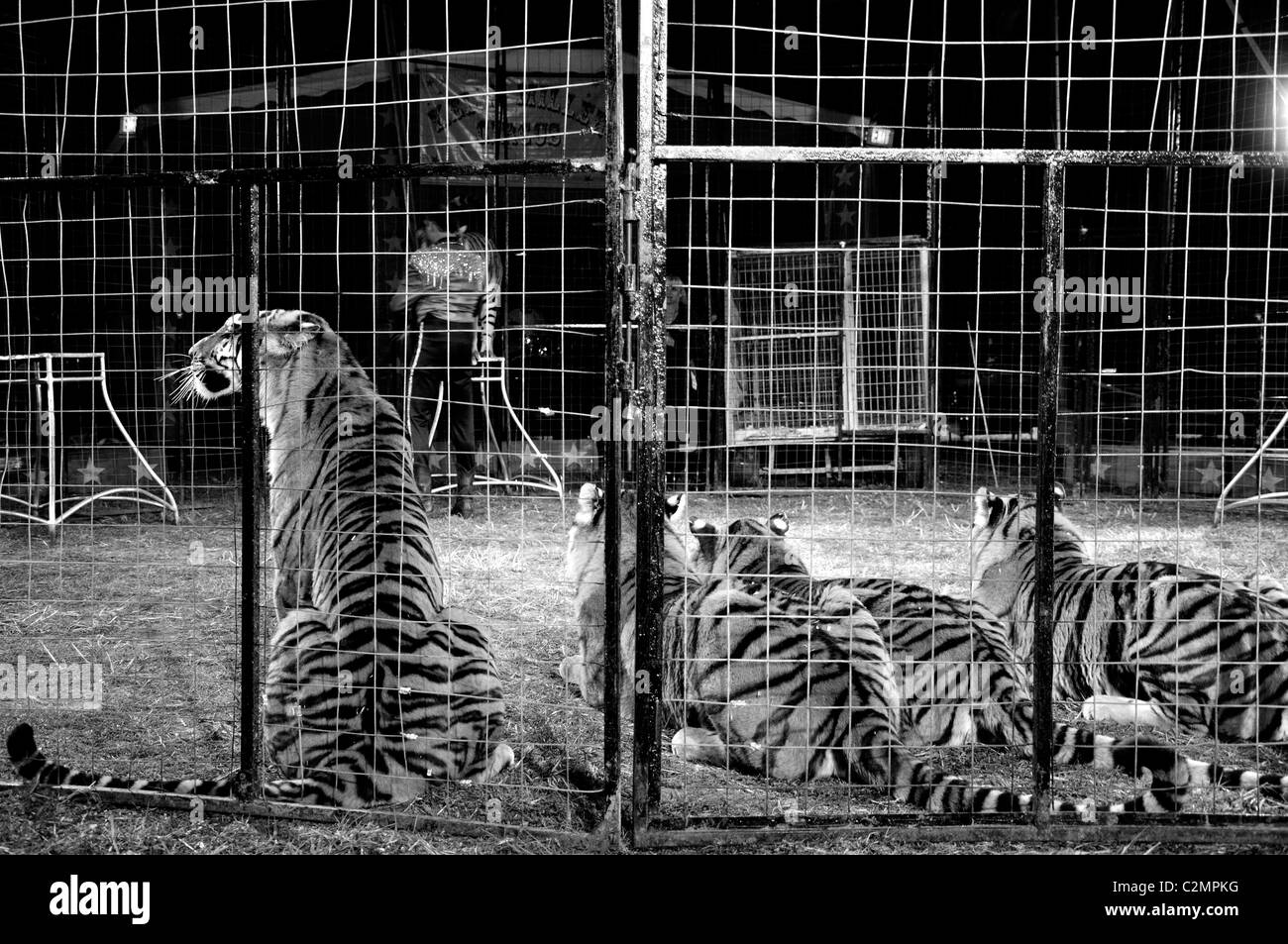 Safety net circus Black and White Stock Photos & Images - Alamy