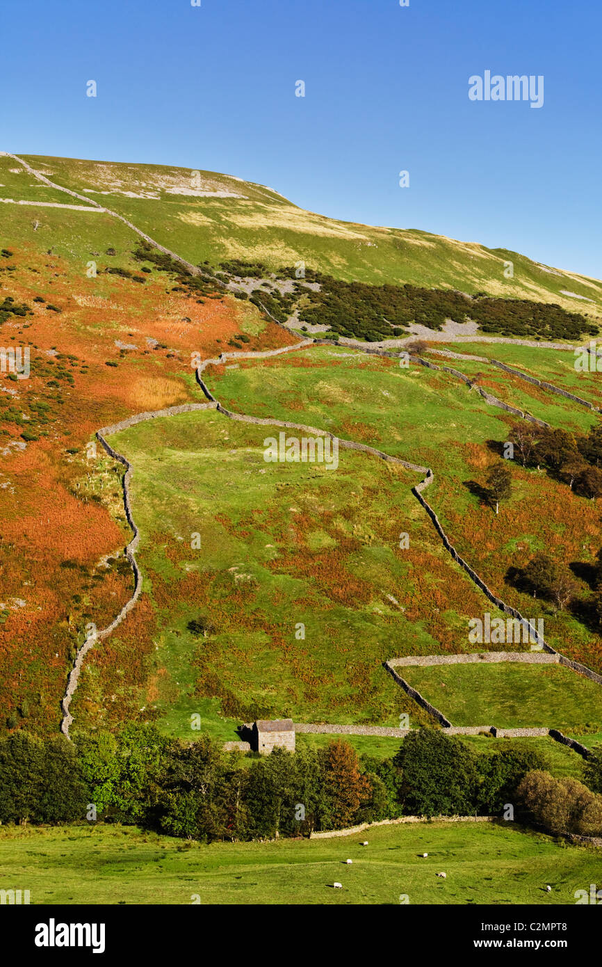 Patterns made by Dry Stone walls and fields in the landscape, Swaledale ...
