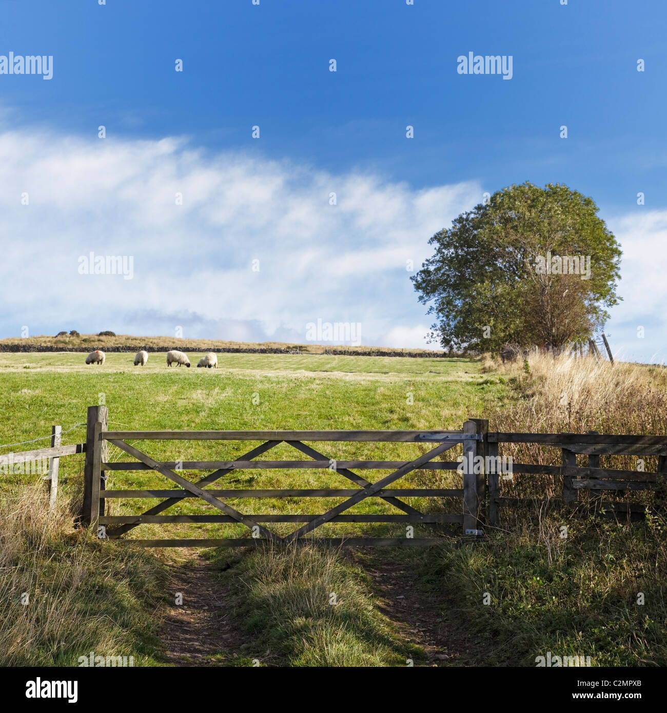 Five bar gates hi-res stock photography and images - Alamy