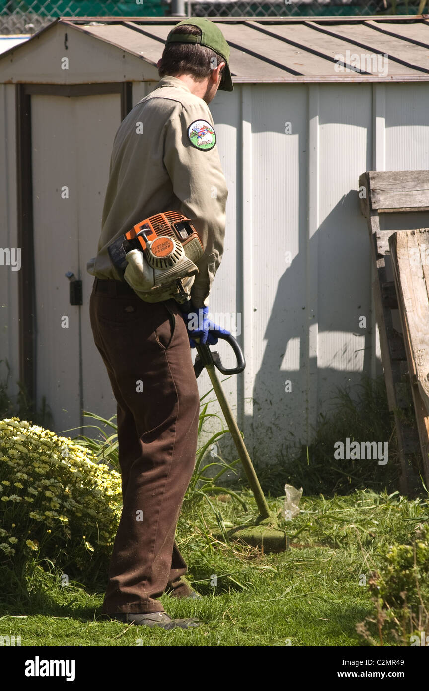 A worker from the California Conservation Corps working on a garden ...